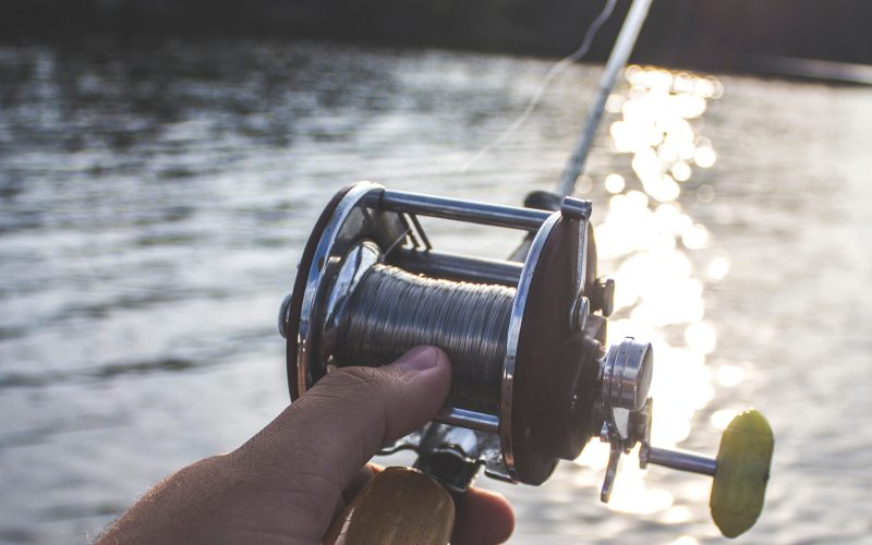 Top 5 Best Frog Rods Review (2025 Complete Buyer's Guide)