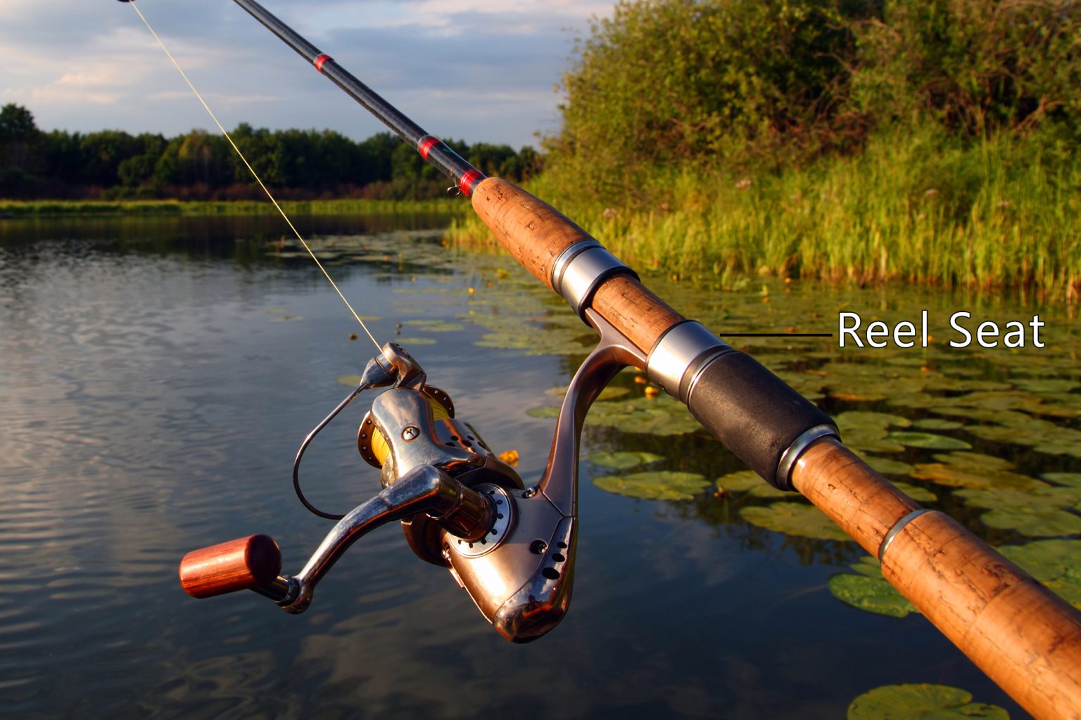 How to Set up a Fishing Rod 101: Easy Guide on Setting Up a Fishing Rod